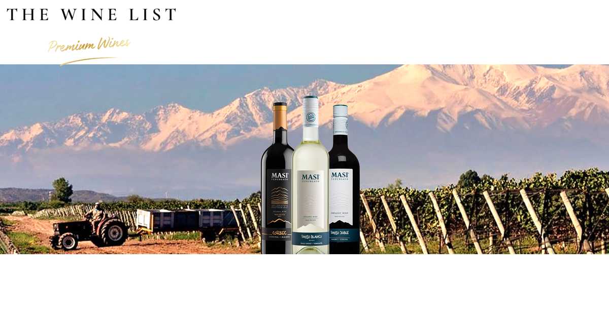 Masi Tupungato | The Wine List Nederlands
